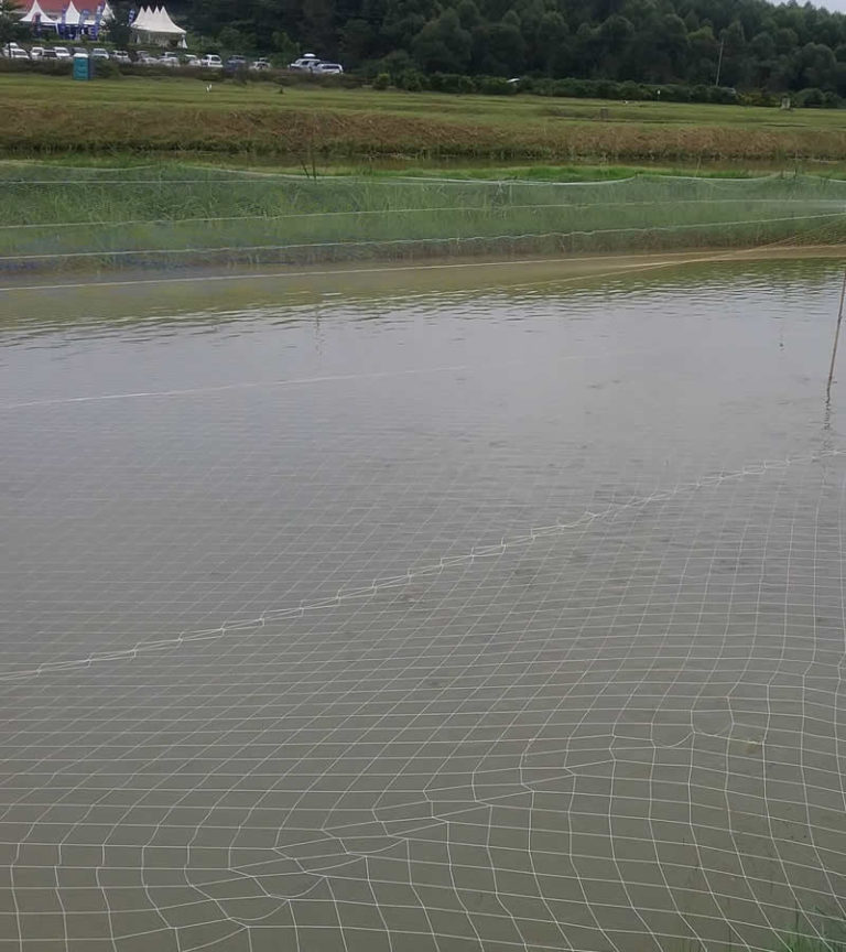 NaFIRRI – National Fisheries Resources Research Institute – National ...