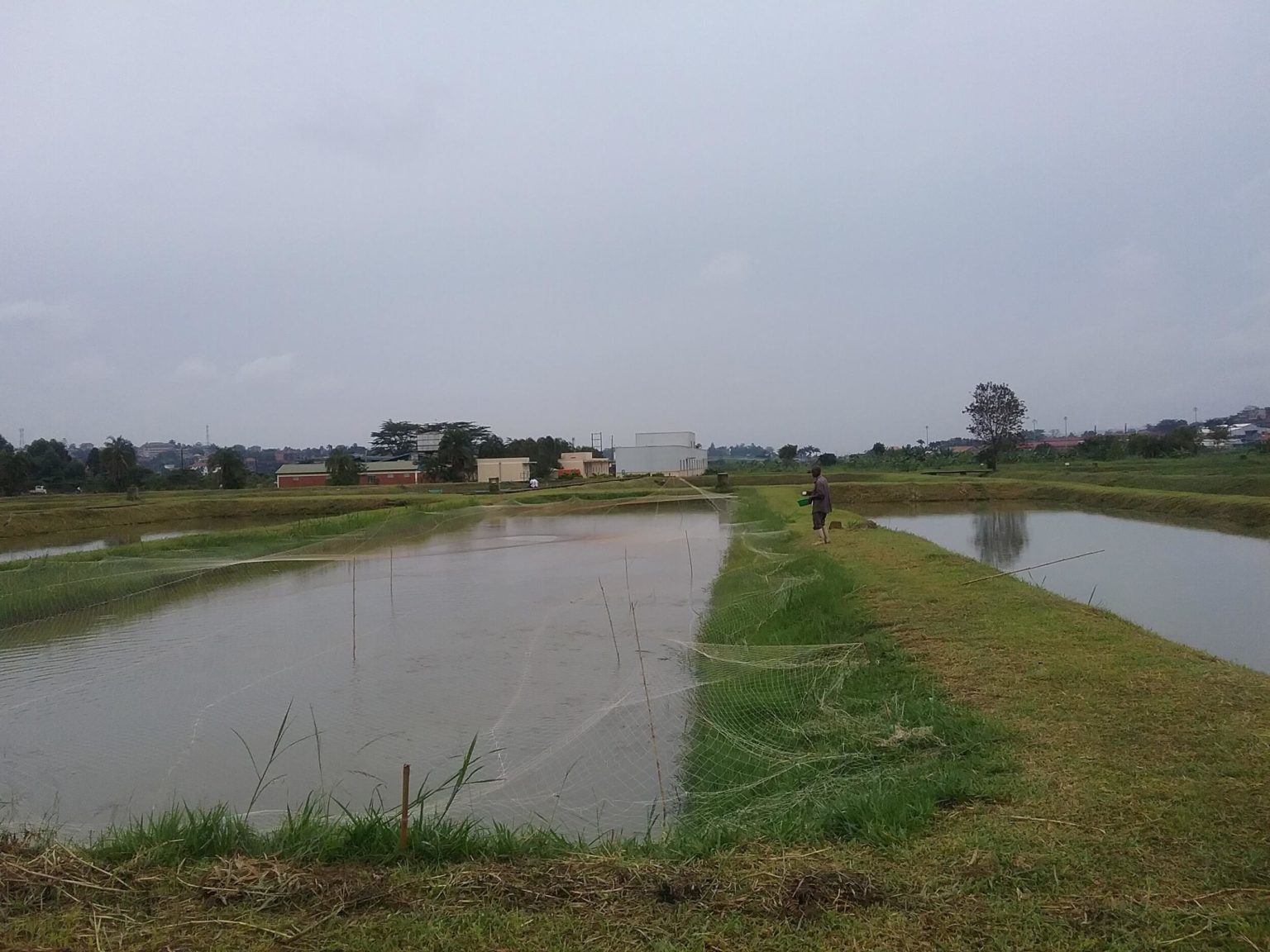 NaFIRRI – National Fisheries Resources Research Institute – National ...