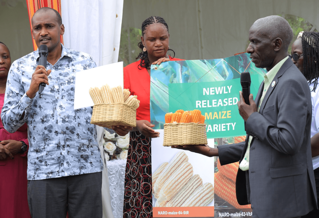 NaCORI News – National Agricultural Research Organisation (NARO)